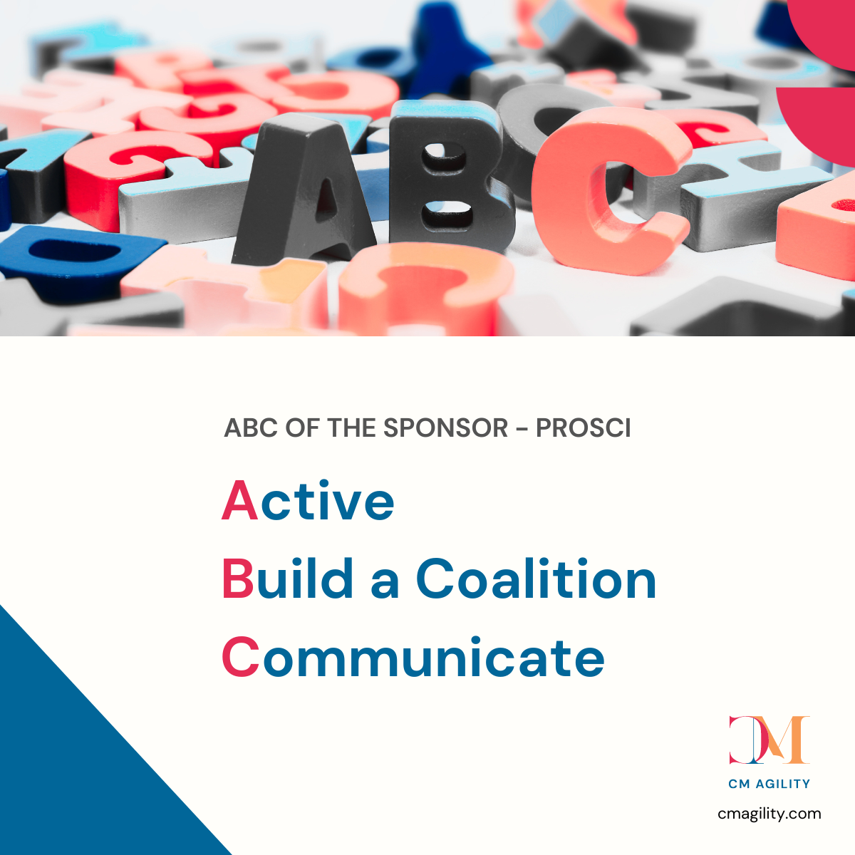 The ABC of Successful Change Sponsorship: Act, Build, and Communicate ...